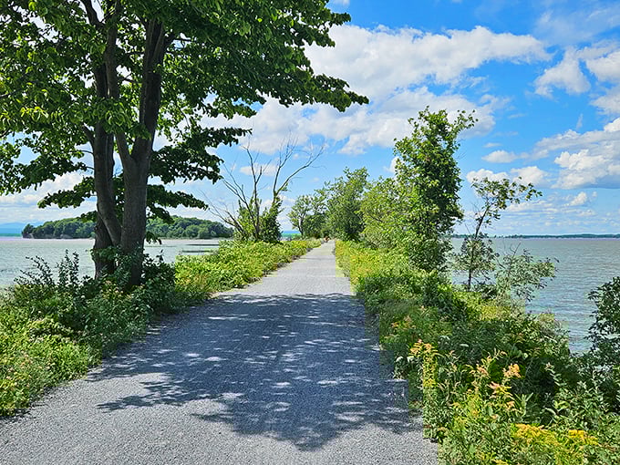 Summer's embrace turns the causeway into a green corridor, where every step brings new discoveries and lake views.