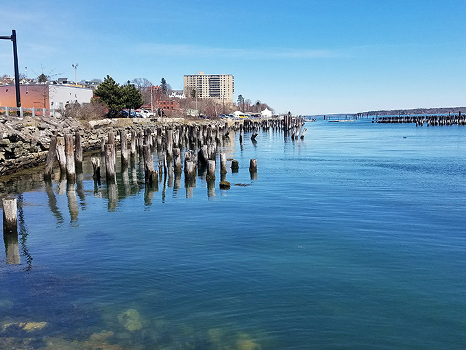 Weather-worn pilings stand like wooden sentinels guarding Portland's harbor &ndash; remnants of maritime history still standing watch.