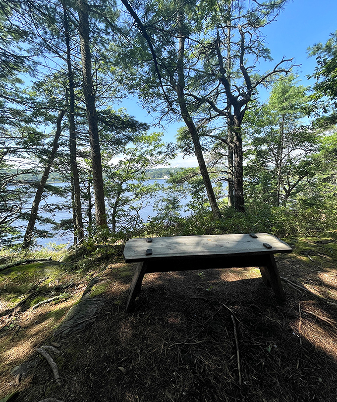 This humble wooden bench offers weary hikers the perfect spot to contemplate the river's timeless journey to the sea.