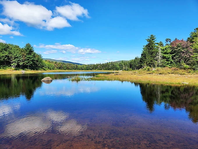 North Pond &ndash; where time slows down, reflections double the beauty, and you'll swear you can hear the earth breathing.