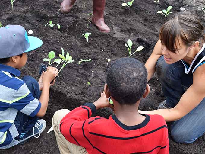 Community gardens teach kids where food comes from while bringing neighbors together to grow, learn, and share in the harvest.