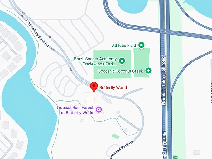 16. butterfly world map