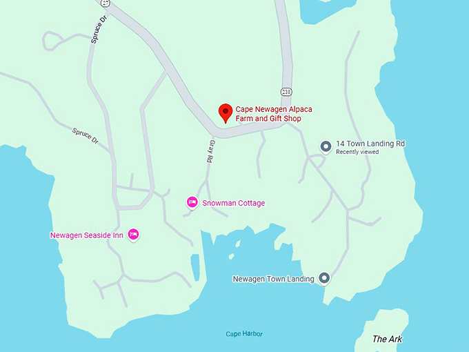 16. cape newagen alpaca farm and gift shop map