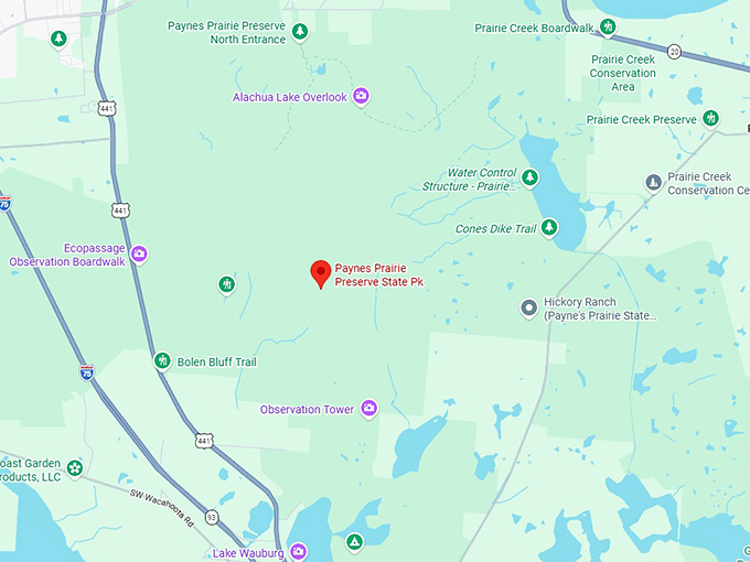 16. paynes prairie preserve state park map