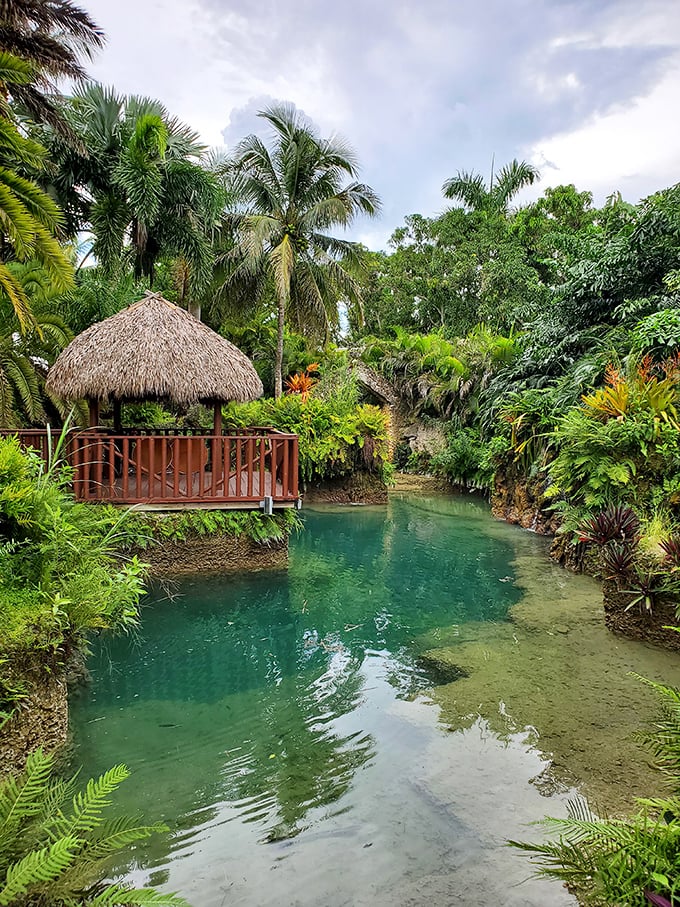 A hidden pond reflects the lush tropical vegetation at The Secret Garden, creating a peaceful oasis that feels worlds away from busy Miami.