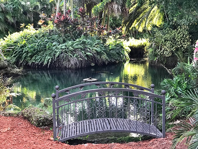 An ornamental bridge arches over a tranquil water feature at The Secret Garden, inviting visitors to cross into another world of botanical beauty.