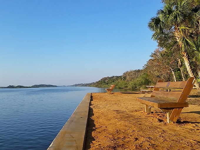 A reflecting pond at Washington Oaks Gardens creates perfect mirror images of the surrounding plants &ndash; doubling the beauty of this coastal sanctuary.