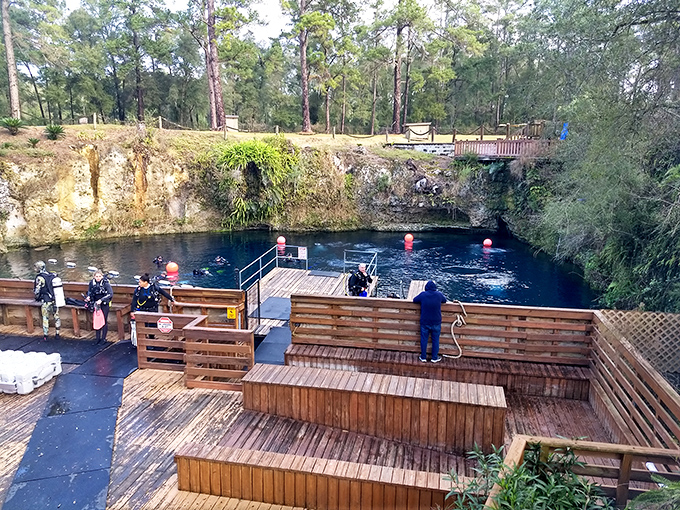 The crystal-clear blue waters of Blue Grotto reveal an underwater world waiting to be explored &ndash; a natural spring that beckons divers and snorkelers.