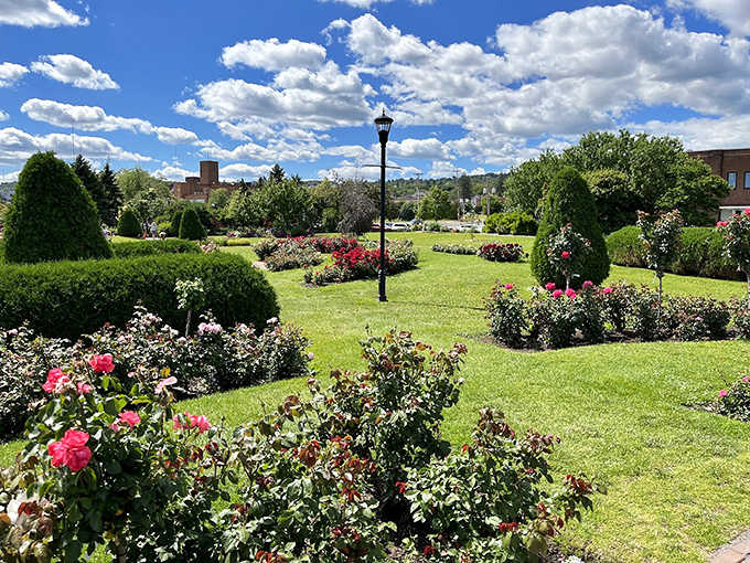Vibrant roses and perfectly manicured gardens make Leif Erikson Park a colorful retreat for visitors seeking natural beauty without spending a dime.