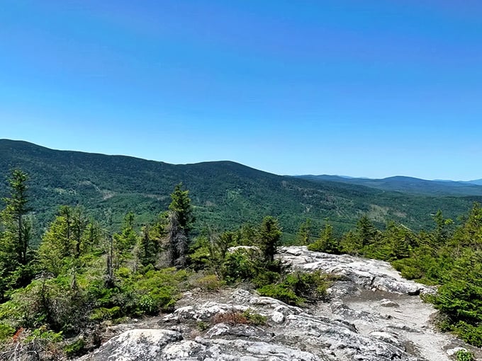 Blueberry Mountain's summit rewards hikers with breathtaking panoramic views of the White Mountains and surrounding valleys. Worth every step!