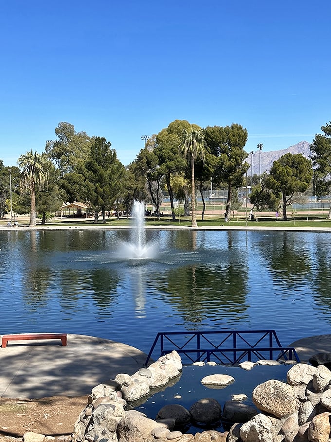 Reid Park's serene lake creates a peaceful oasis in Tucson's heart. The fountain adds a touch of magic to this urban retreat.