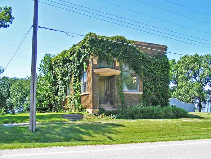The old Hadley Bank building plays peekaboo through a curtain of ivy, nature's slow-motion takeover turning brick into a living green sculpture.