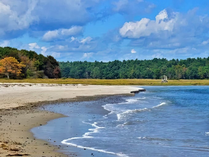 Laudholm Beach stretches out like nature's welcome mat, golden sand meeting the Atlantic under Maine's famous big sky.