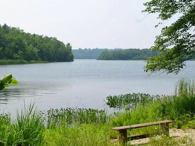 Silver Lake's mirror-like surface captures perfect reflections of the surrounding trees and sky, creating a double world of beauty.