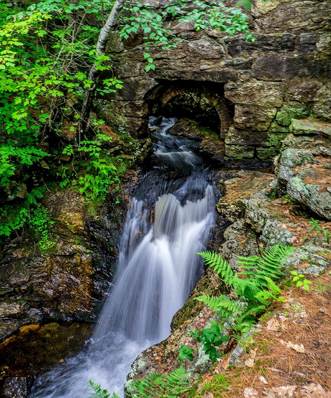 Snow Falls tumbles through a natural stone archway, framed by lush ferns and moss-covered rocks.