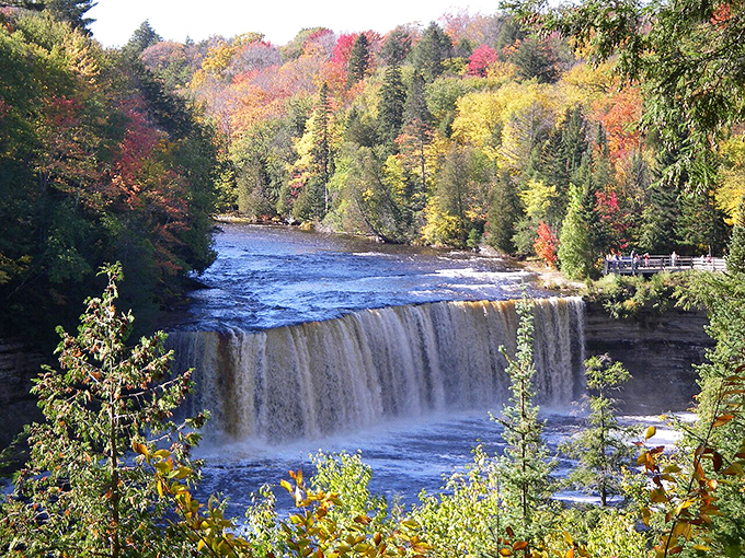 Tahquamenon Falls transforms into nature's root beer fountain, its amber waters cascading dramatically through a frame of colorful autumn trees.