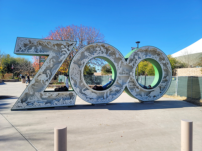 The iconic "ZOO" sign welcomes visitors to one of Reid Park's many attractions. Animal silhouettes hint at the adventures waiting inside.