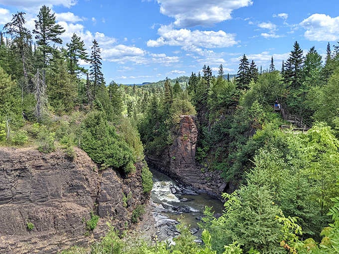 Nature's perfect postcard: towering pines frame the rugged gorge where High Falls plunges dramatically into the Pigeon River below.