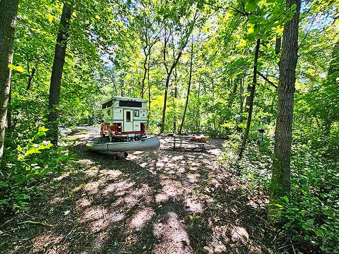 A cozy camper nestled among the trees at Monson Lake State Park, where camping feels like having your own private slice of Minnesota wilderness.