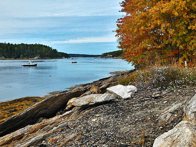 Fall colors frame this peaceful Maine cove, where boats bob gently on glass-like water under a perfect blue sky.