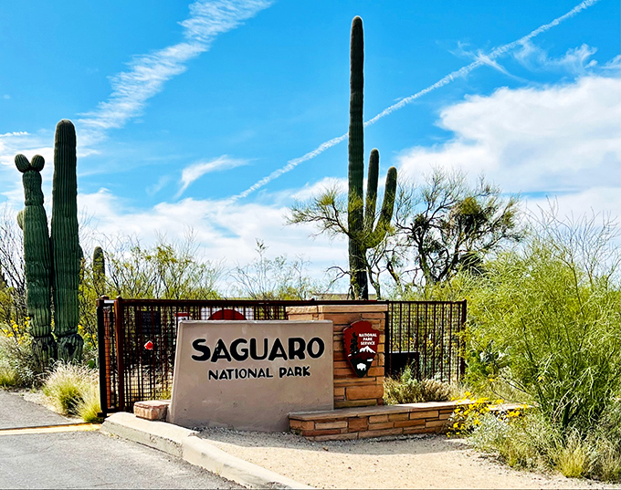 The iconic entrance sign to Saguaro National Park stands proudly against the blue Arizona sky, with its namesake cactus standing tall nearby.