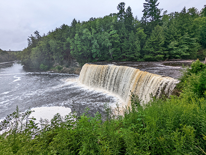 The mighty Upper Tahquamenon Falls stretches over 200 feet wide, creating a thunderous roar that vibrates through the viewing platform.