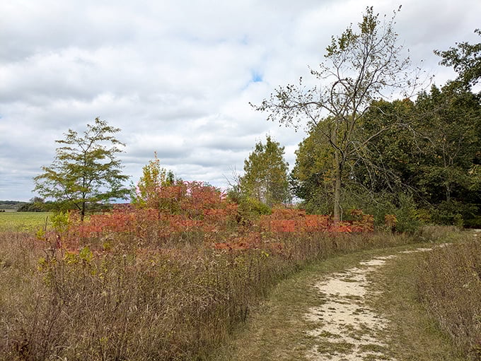 Autumn paints the trail with golden hues, creating a magical corridor through time. Mother Nature's seasonal makeover turns this historical walk into a feast for the eyes.