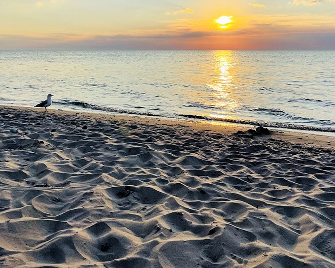 Golden hour perfection as the sun bids farewell, painting the shoreline in warm hues that make even seagulls pause in appreciation.