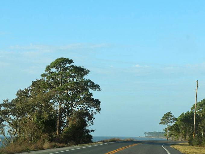 The highway stretches ahead like an invitation to slow down and actually enjoy the journey for once.