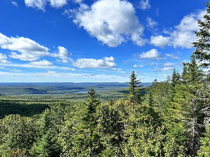 The sky puts on its best blue dress for this summit view – Maine's mountains rolling away like waves frozen in time.