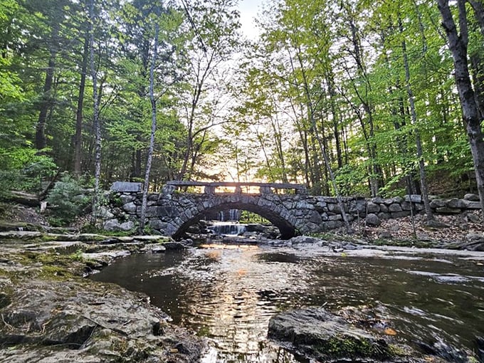 Sunlight dances through the canopy, illuminating this masterpiece of stonework that's been connecting forest paths for generations of wandering dreamers.
