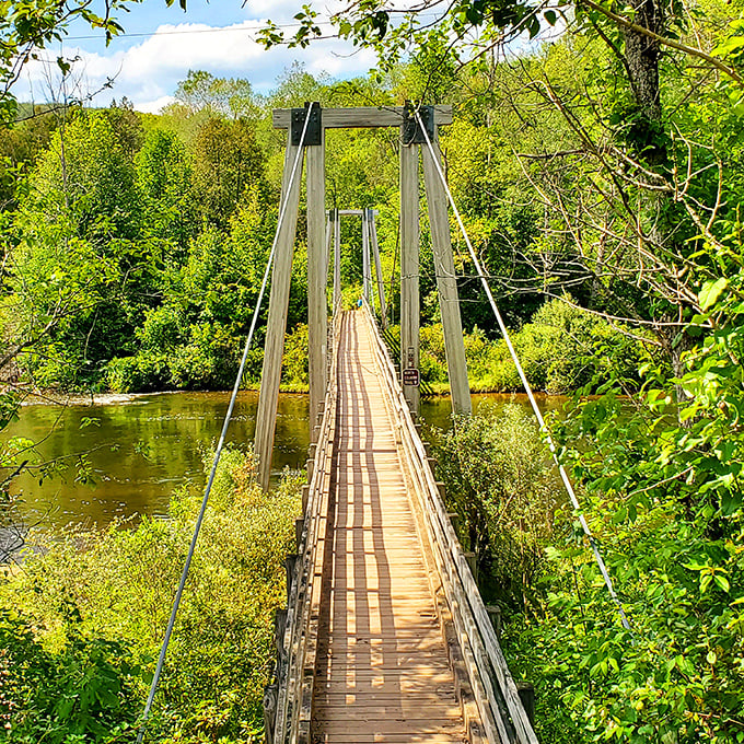 Suspended between two worlds, this wooden pathway seems to float above the river, its cables creating an elegant geometry against the forest backdrop.