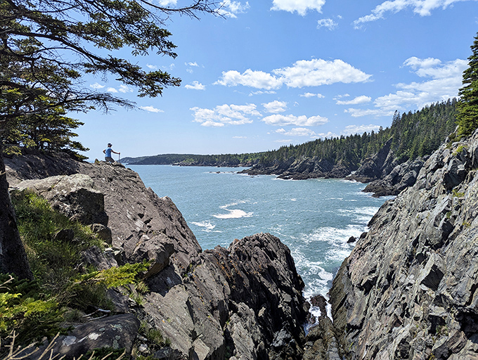 The edge of America: A lone adventurer contemplates the vastness of the Atlantic from atop Cutler's rugged cliffs &ndash; social distancing, Maine-style.
