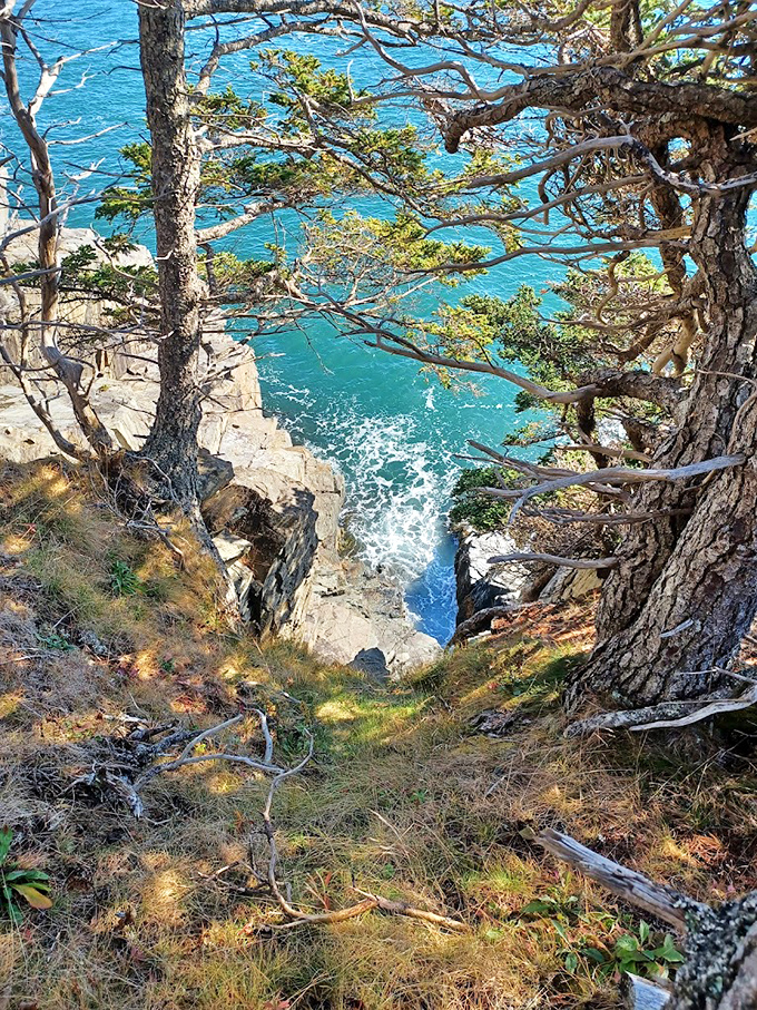 Nature's drama unfolds: Rugged cliffs meet the relentless Atlantic, creating a spectacle of spray and thunder that humbles even seasoned travelers.