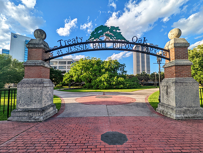 Welcome to tree royalty! The ornate entrance to Jessie Ball DuPont Park promises visitors an encounter with living history.