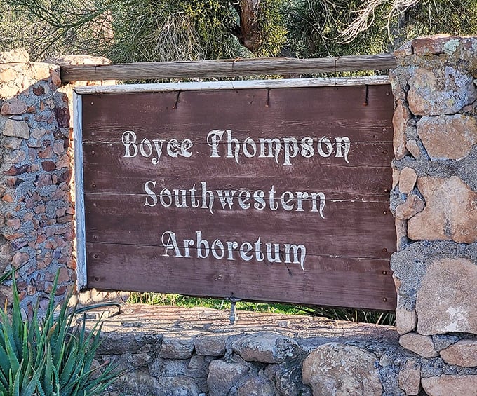 The rustic wooden sign welcomes visitors to a botanical paradise where desert wonders await at every turn.