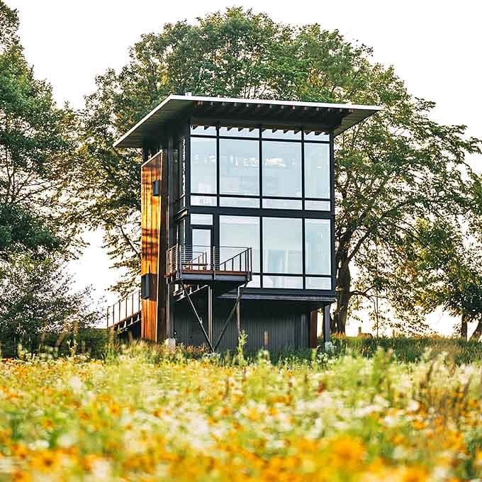 The tower stands proud among the trees, its clean lines and warm wood exterior suggesting someone finally figured out how to make contemporary design feel welcoming instead of cold.