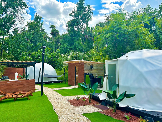 Nature's five-star hotel lobby &ndash; complete with palm trees, sunshine, and not a single "please wait to be seated" sign in sight.