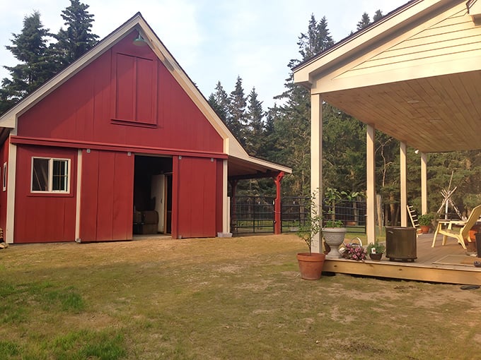 Classic red barn living that's straight out of a storybook, minus the talking spider but plus several curious alpacas.