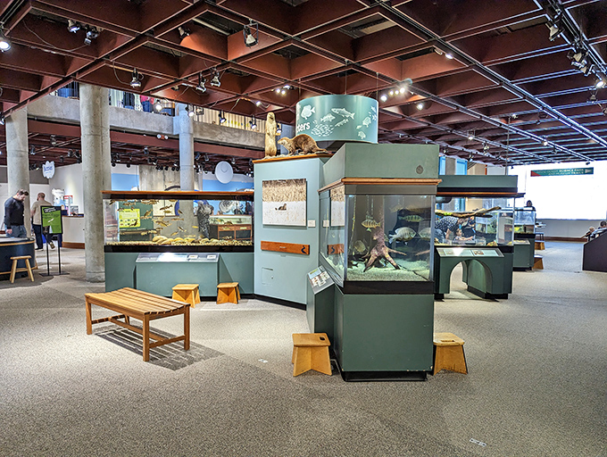 Inside the museum, science isn't kept behind glass &ndash; it's put right into your hands with exhibits that beg to be touched and tested.