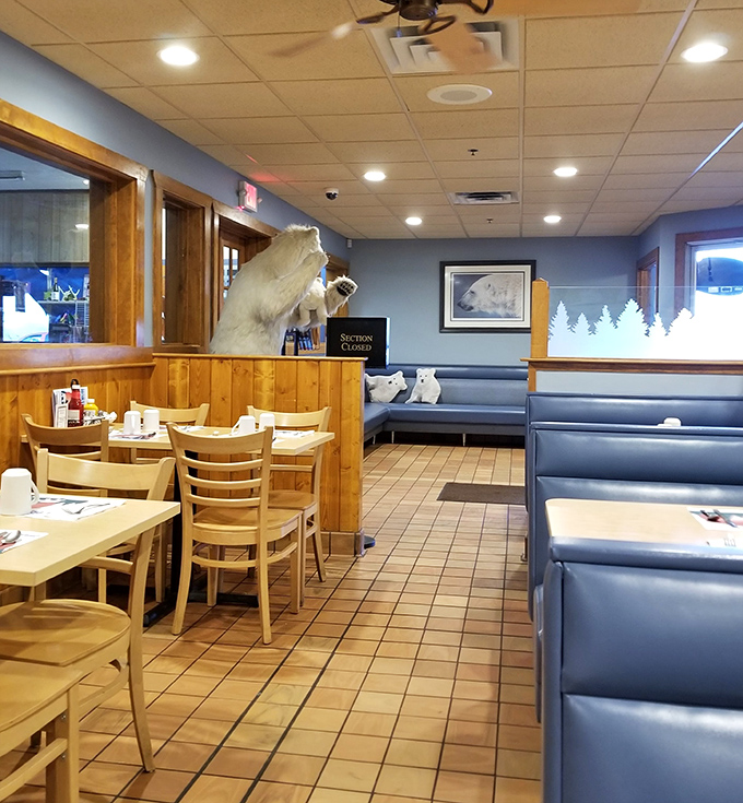 Step inside to discover a cozy interior where wood paneling meets polar-themed decor, creating Minnesota's unique version of winter wonderland dining.