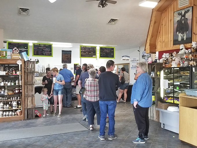 Inside the creamery, eager customers line up for farm-fresh delights while cow-themed d&eacute;cor reminds everyone exactly where their ice cream begins its journey.
