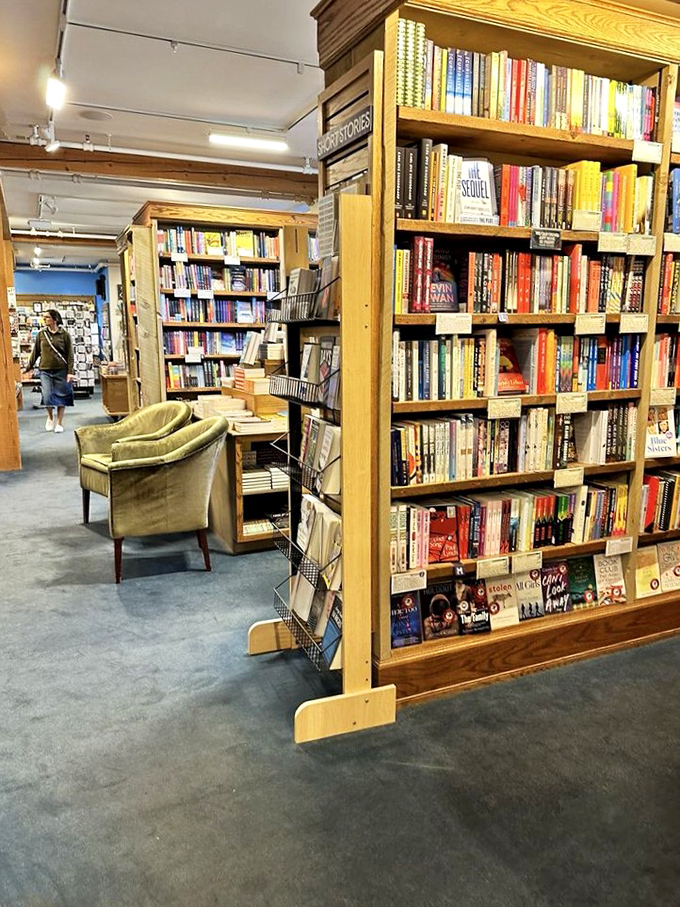 Wooden shelves stretch into literary infinity, creating cozy nooks where time slows down and the outside world fades away.