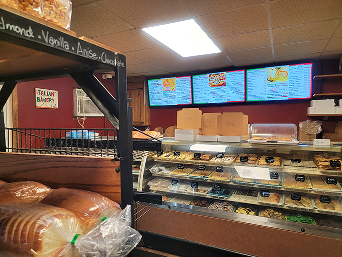 Display cases that make adults press their noses against the glass like kids in a candy store.