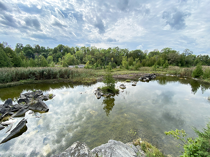 Nature's mirror: still waters reflect clouds and history at the Fisk Quarry Preserve's tranquil pond.