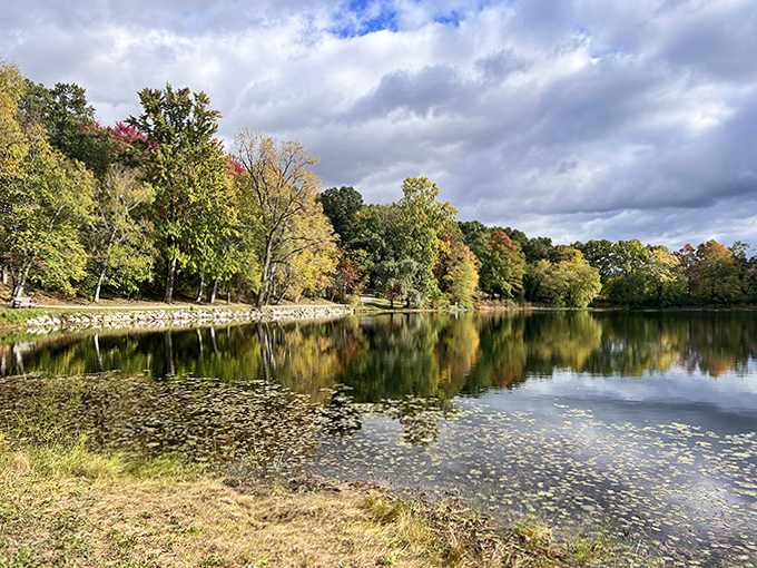 Nature's paintbrush goes wild during fall at Hidden Lake Gardens, creating a masterpiece of reflections that would make Bob Ross reach for his palette.
