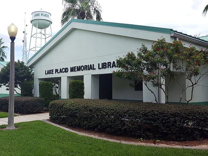 The Lake Placid Memorial Library: proof that even small towns can have big architectural ambitions and excellent reading material.