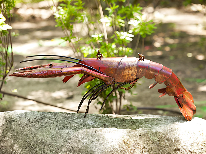 Not your average garden ornament! This rusted metal crawfish sculpture adds whimsical charm to the safari-themed landscape.