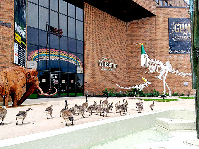 The Neville Public Museum welcomes visitors with prehistoric friends outside and fascinating exhibits inside, proving history doesn't have to be a yawn-fest.