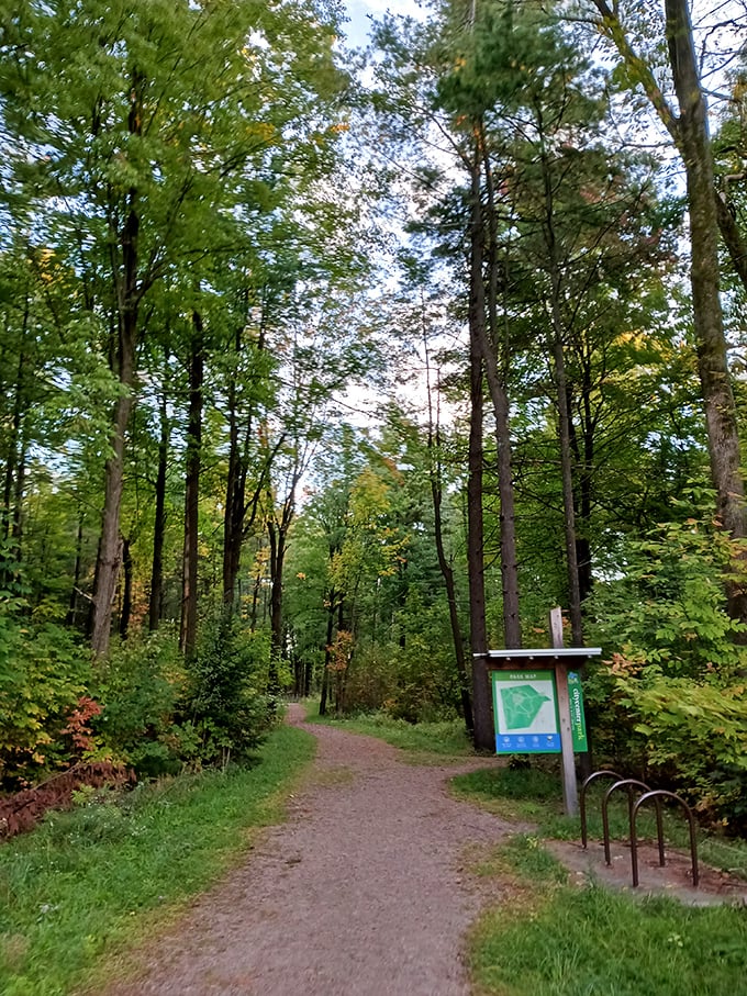 Follow the winding trail into South Burlington's secret woodland paradise, where everyday stress melts away with each step into nature.